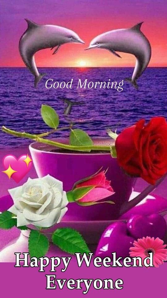 Dolphins At Sunrise - Good Morning, Happy Weekend Everyone Pictures ...