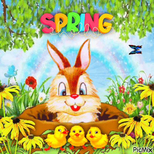 Peeking Bunny - Hello Spring Pictures, Photos, and Images for Facebook ...