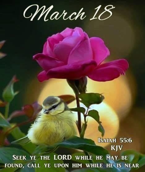 March 18 Pictures, Photos, and Images for Facebook, Tumblr, Pinterest ...