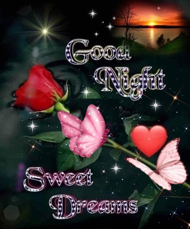 Good Night Magical Butterflies Pictures, Photos, and Images for ...