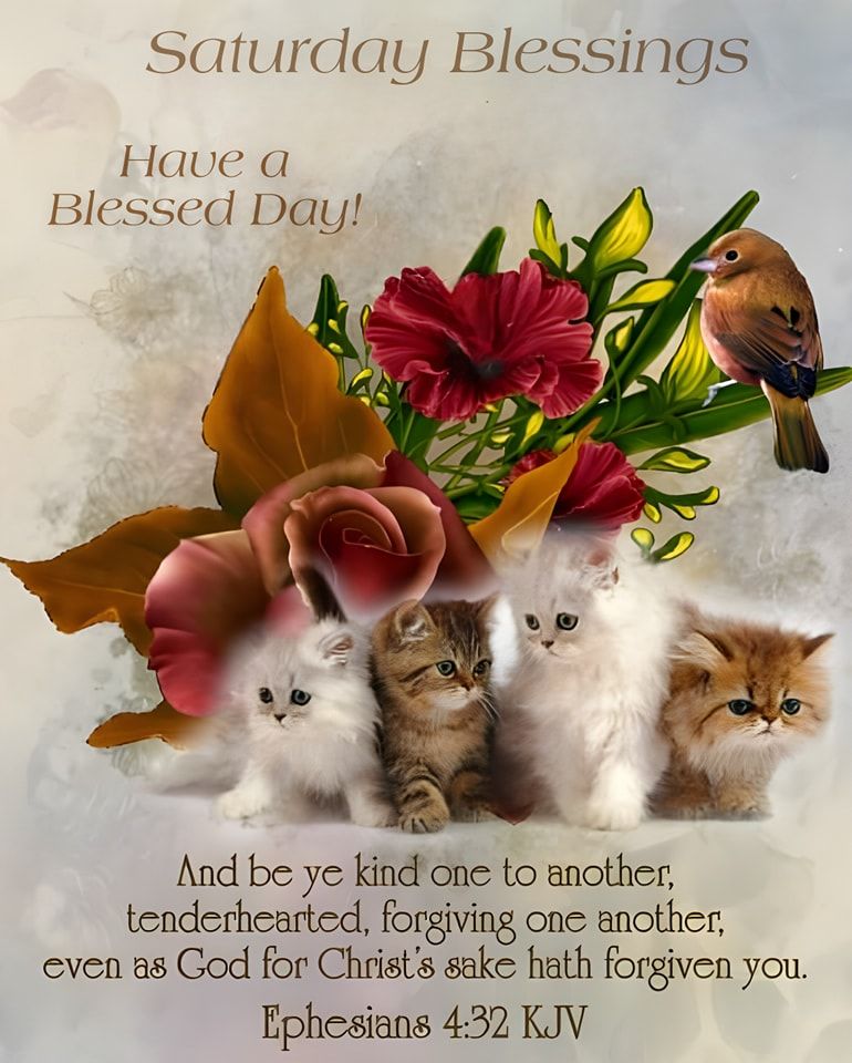 Saturday Blessings. Have A Blessed Day Pictures, Photos, and Images for ...
