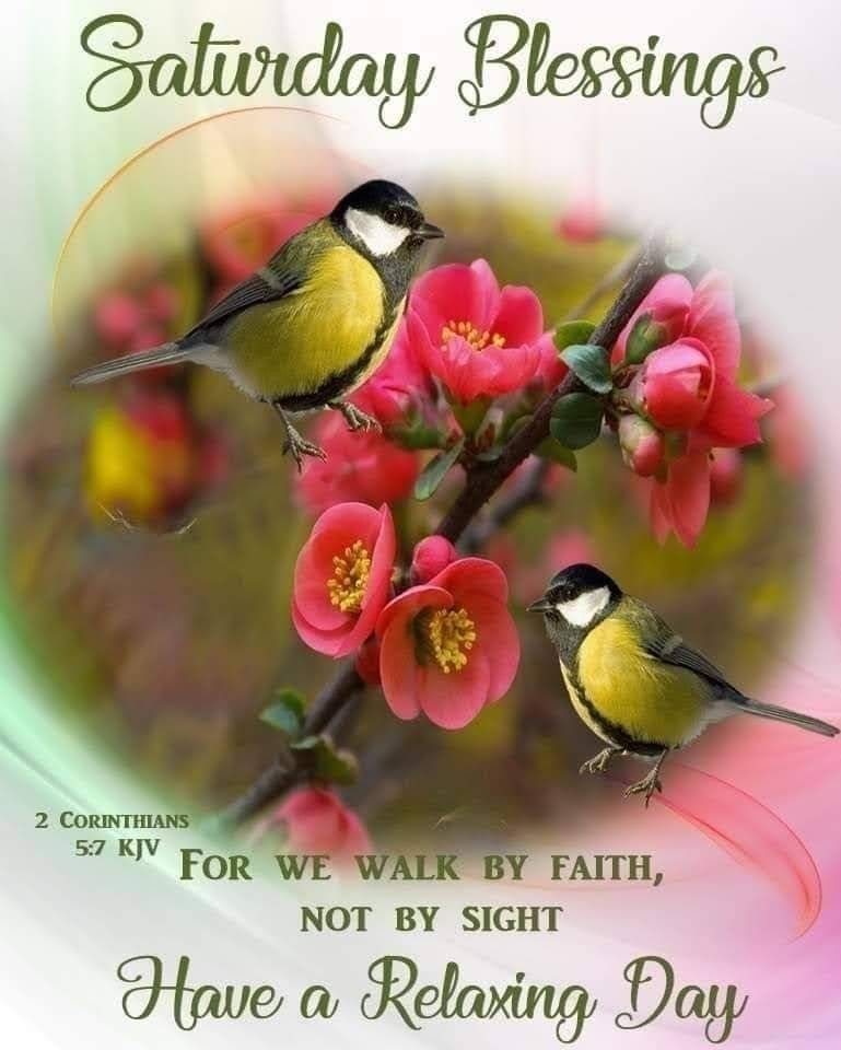 Relaxing Saturday Blessings Pictures, Photos, and Images for Facebook ...