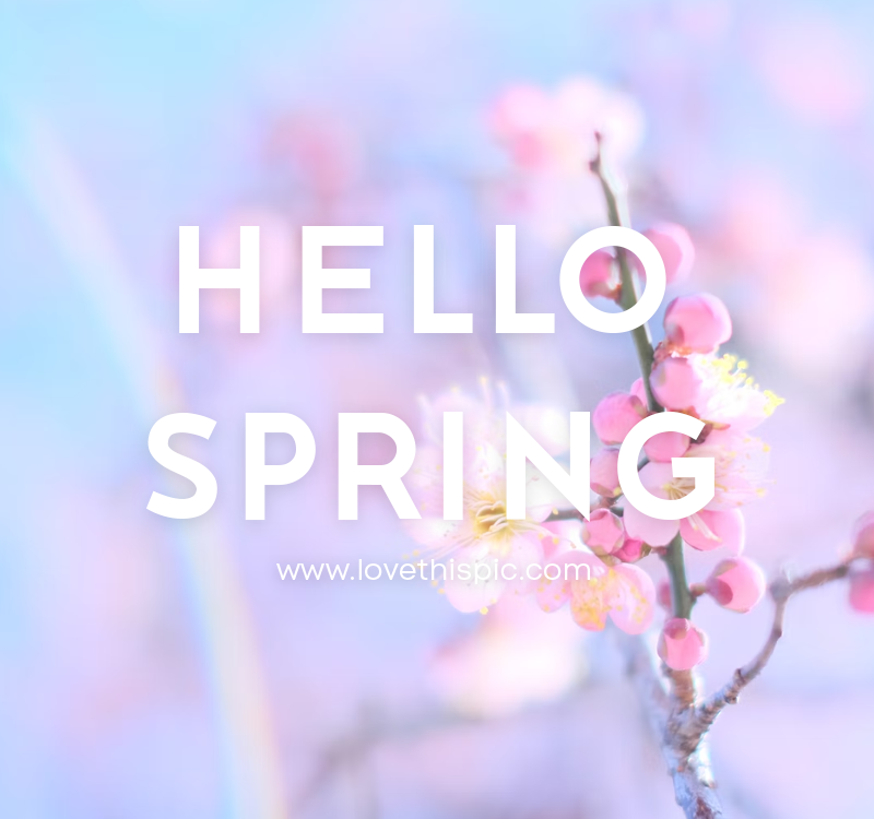 Spring Tumblr Quotes