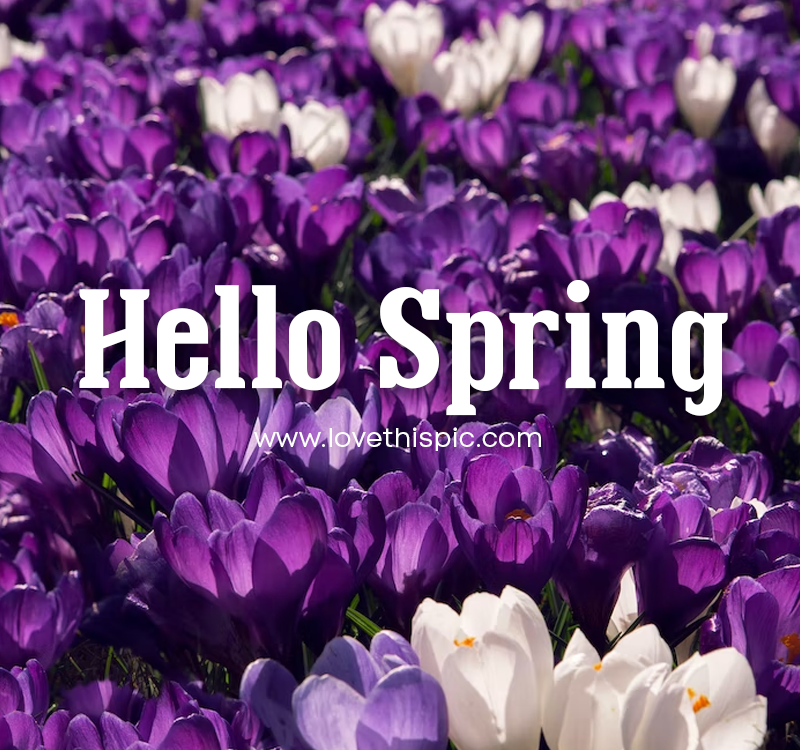Hello Spring Pictures, Photos, and Images for Facebook, Tumblr ...