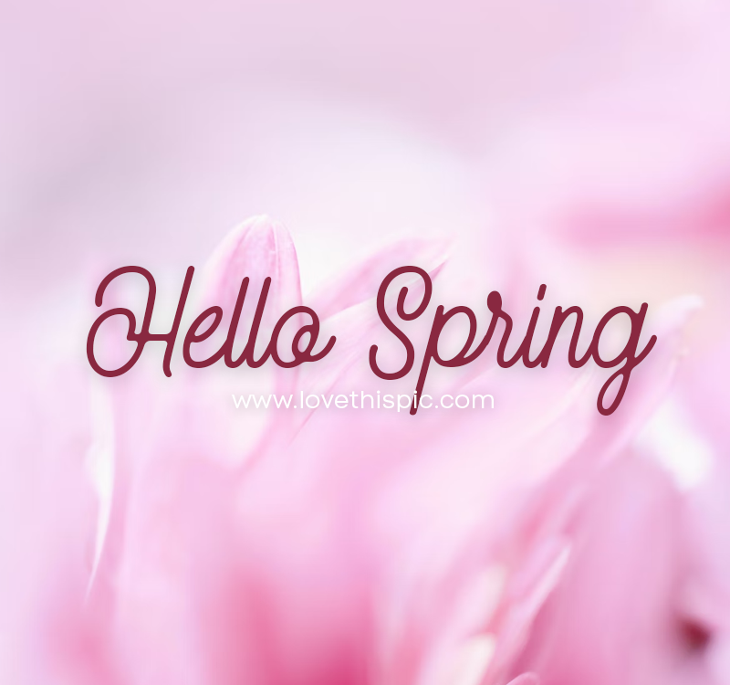 Hello Spring With Pink Petals Pictures, Photos, and Images for Facebook ...