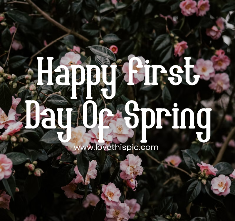 Garden Of Pink Flowers - Happy First Day Of Spring Pictures, Photos ...