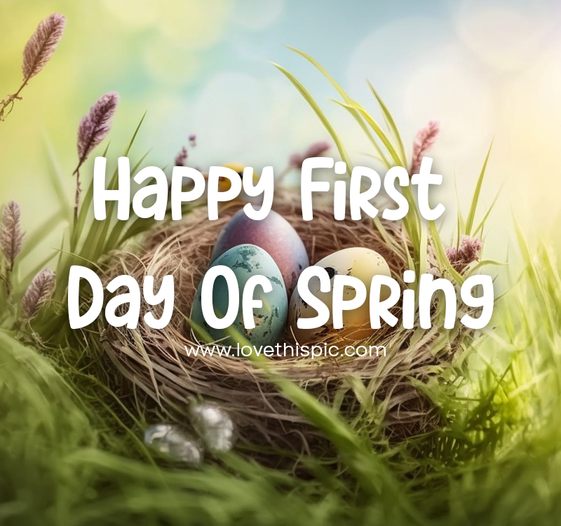 Birds Nest - Happy First Day Of Spring Pictures, Photos, and Images for ...