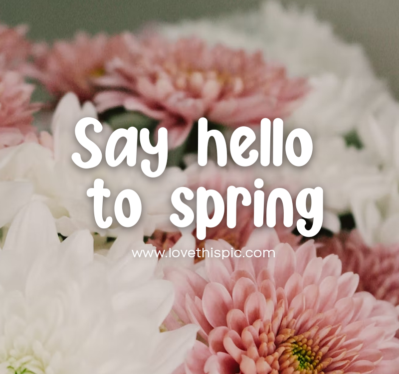 Say Hello To Spring Pictures, Photos, and Images for Facebook, Tumblr ...