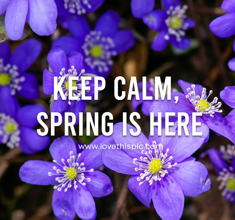 Keep Calm Spring Is Here