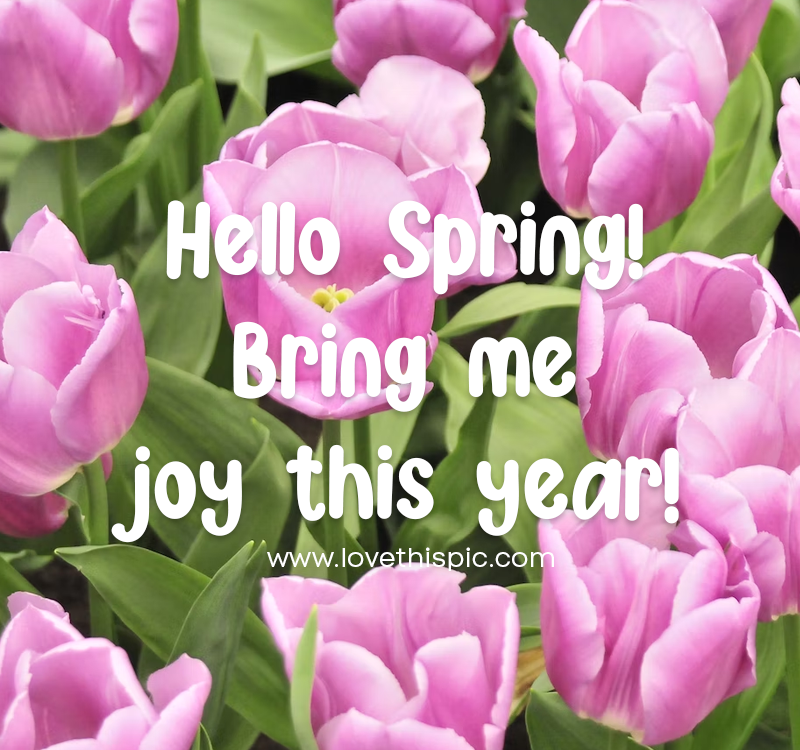 Hello Spring! Bring Me Joy This Year! Pictures, Photos, and Images for ...