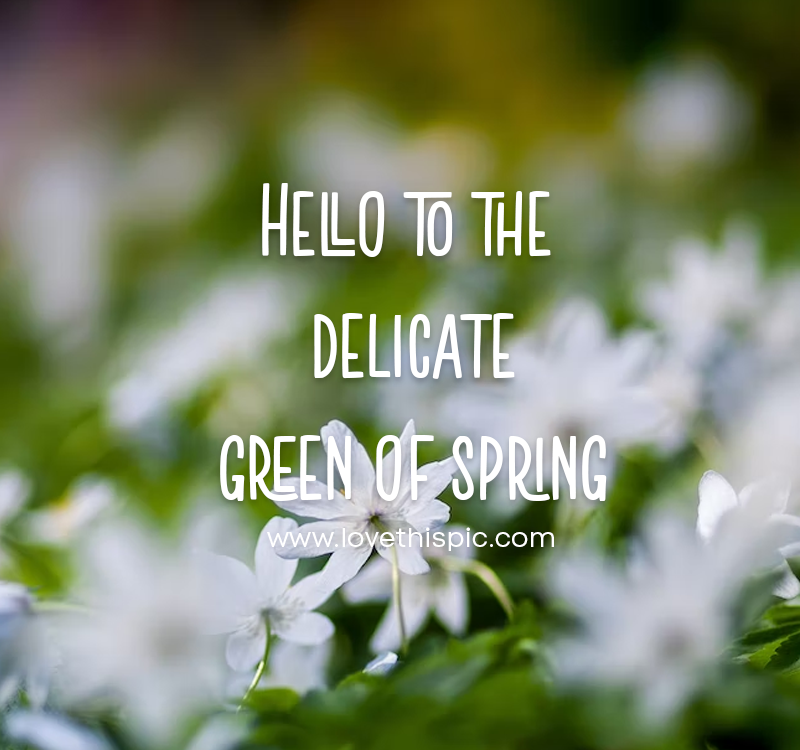Hello To The Delicate Green Of Spring Pictures, Photos, and Images for ...