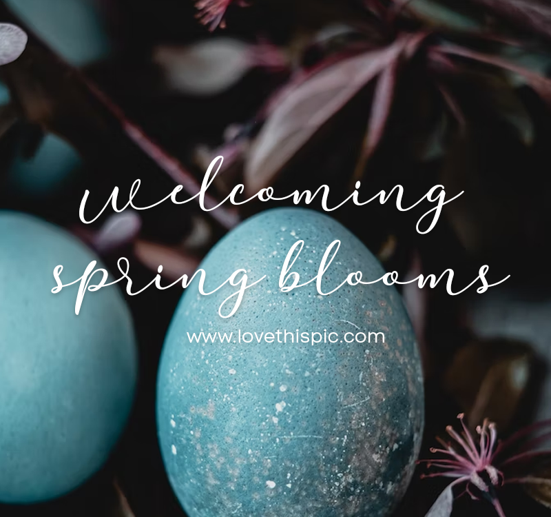 Welcoming Spring Blooms Pictures, Photos, and Images for Facebook ...