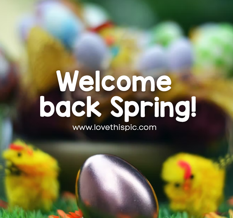 Welcome Back Spring! Pictures, Photos, and Images for Facebook, Tumblr ...