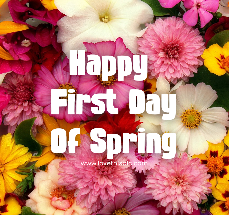 Happy First Day Of Spring Floral Quote Pictures, Photos, and Images for ...