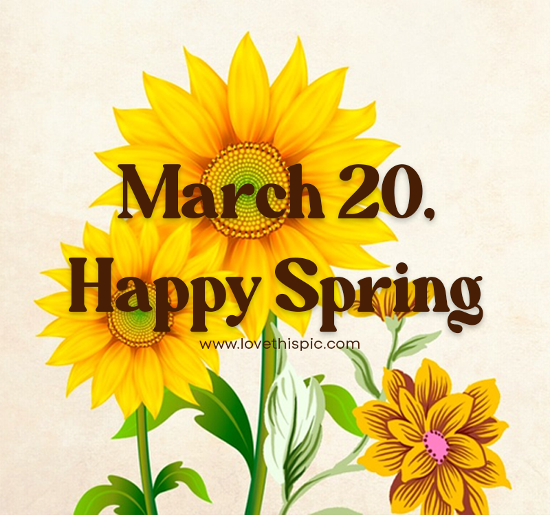 March 20, Happy Spring With Sunflower Pictures, Photos, and Images for ...