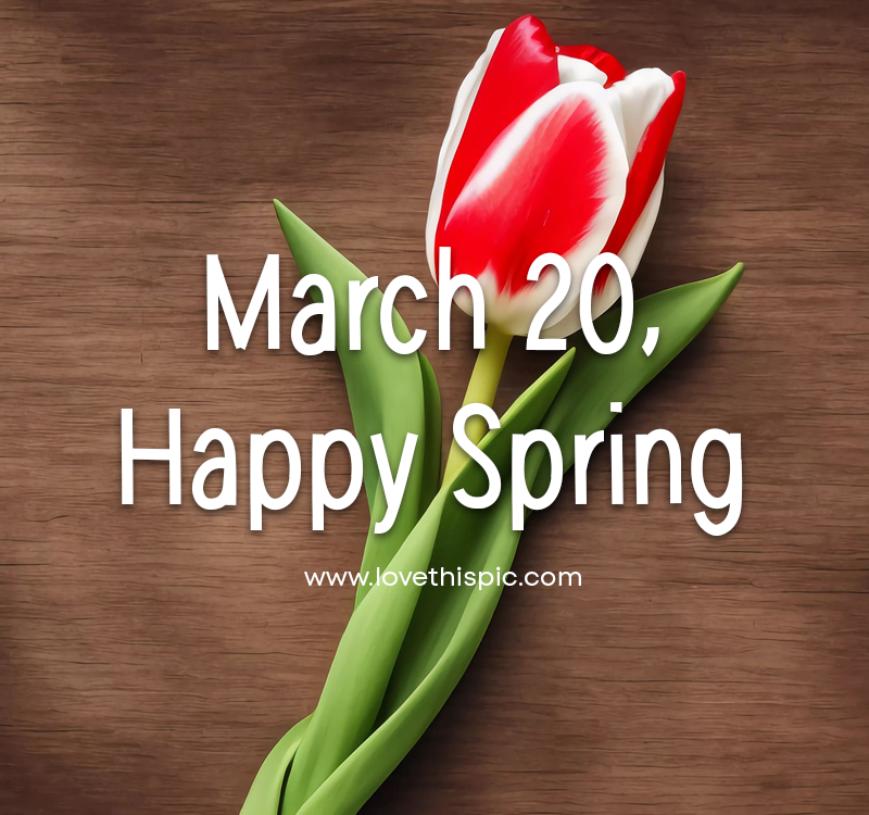 March 20, Happy Spring With Tulip Pictures, Photos, and Images for Facebook, Tumblr, Pinterest ...