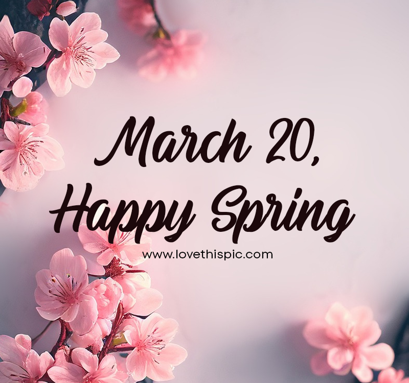 Cherry Blossom Background - March 20, Happy Spring Pictures, Photos ...