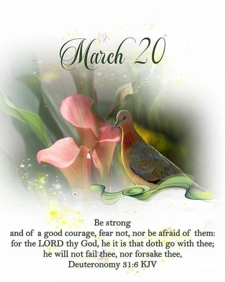 March 20 (Deuteronomy 31:6 Scripture) Pictures, Photos, and Images for ...