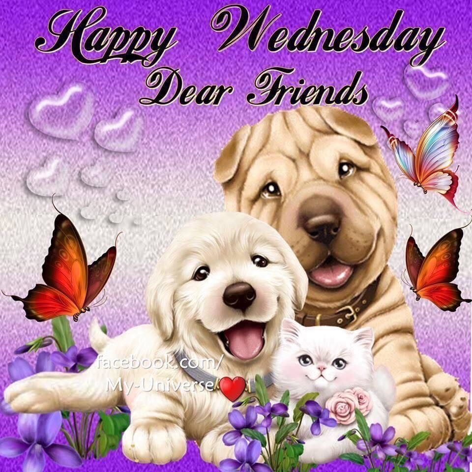 Happy Wednesday Dear Friends (With Happy Animals) Pictures, Photos, and ...