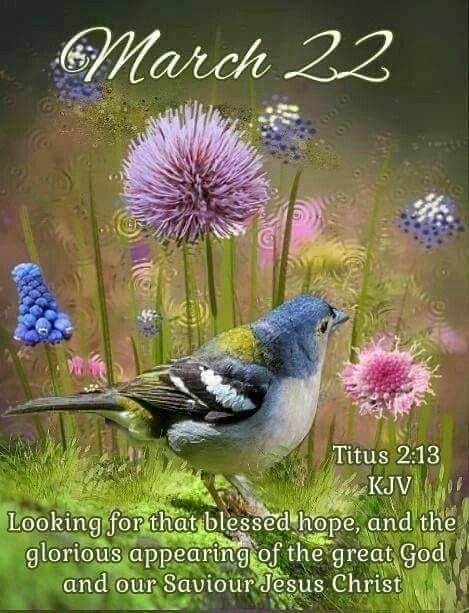March 22 Pictures, Photos, and Images for Facebook, Tumblr, Pinterest ...