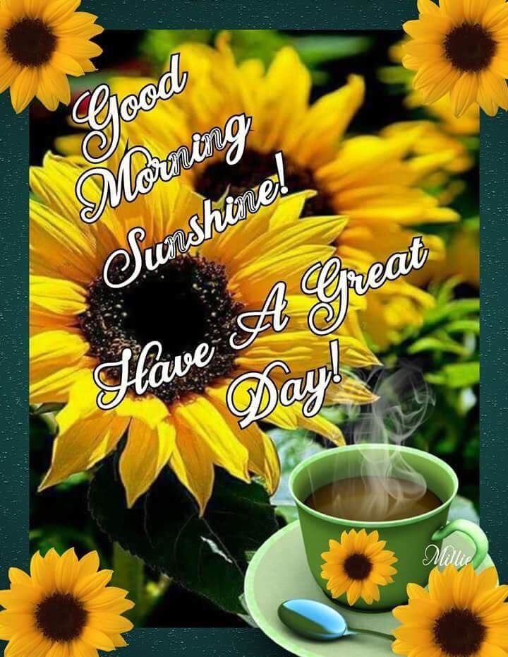 Good Morning Sunshine. Have A Great Day Pictures, Photos, and Images ...