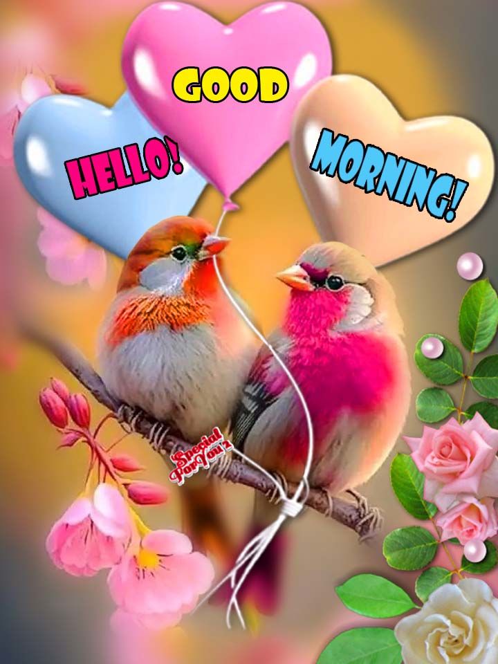 Hello! Good Morning! Pictures, Photos, and Images for Facebook, Tumblr ...