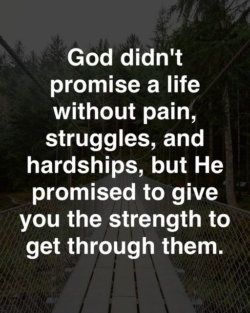 God Didn't Promise A Life Without Pain, Struggles And Hardship, But He ...