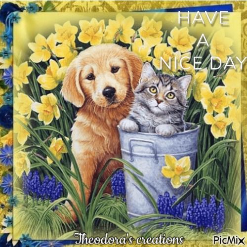 Have A Nice Day Greeting With Dog And Cat Pictures, Photos, and Images ...
