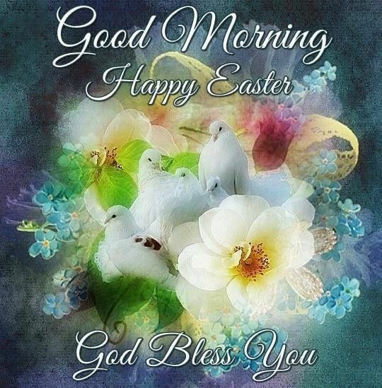 Good Morning, Happy Easter Pictures, Photos, and Images for Facebook ...