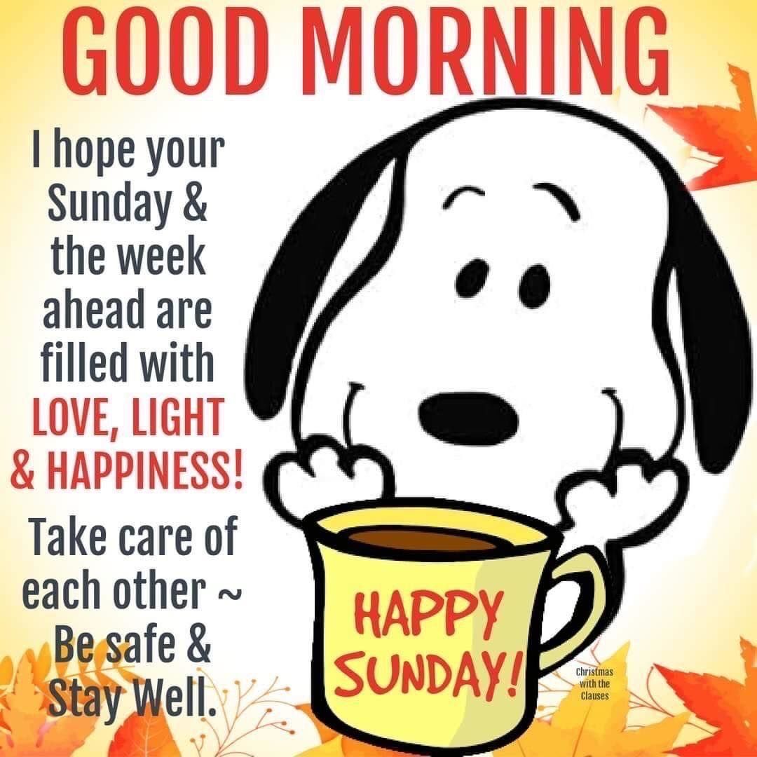 I Hope Your Sunday & The Week Ahead Are Filled With Love, Light ...