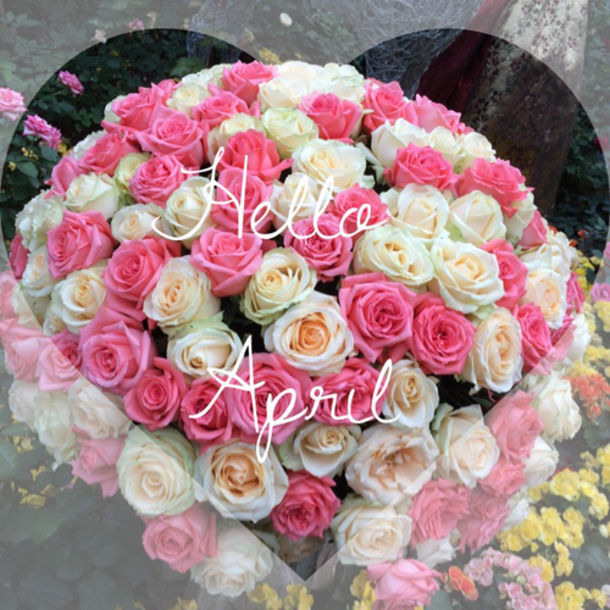 White And Pink Roses Hello April Quote Pictures, Photos, and Images for ...