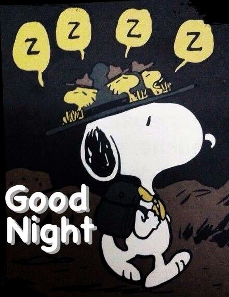 Good Night With Baby Woodstocks And Snoopy Pictures, Photos, and Images ...