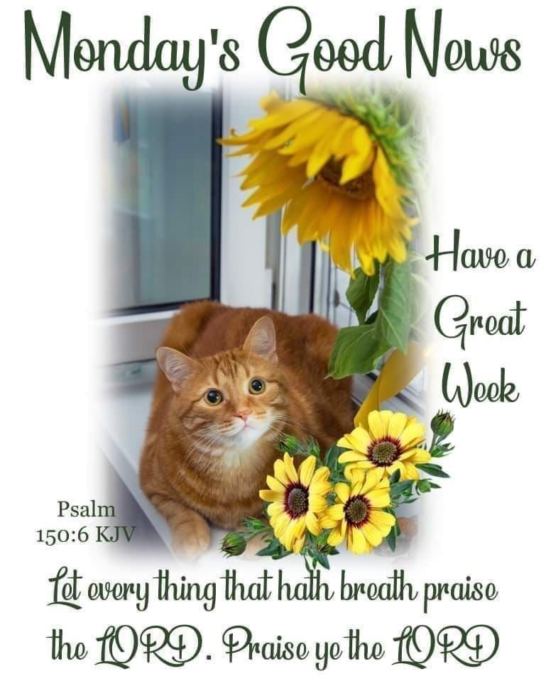 Monday's Good News Pictures, Photos, and Images for Facebook, Tumblr ...