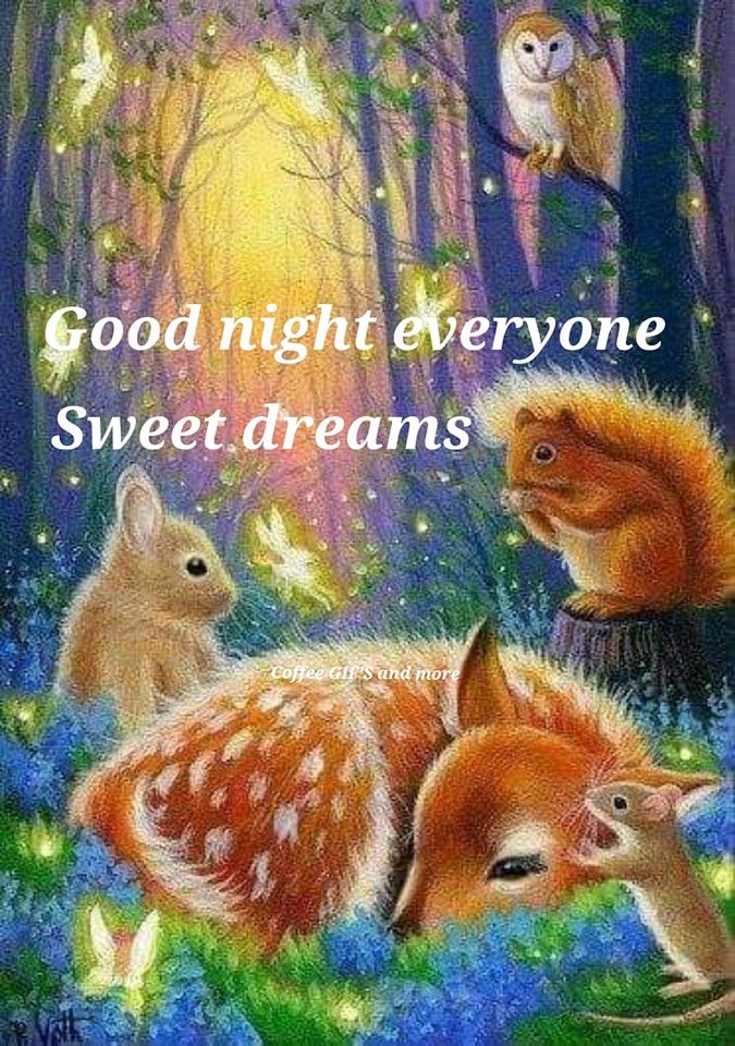 Animals In Forest - Good Night Everyone. Sweet Dreams Pictures, Photos, and Images for Facebook ...