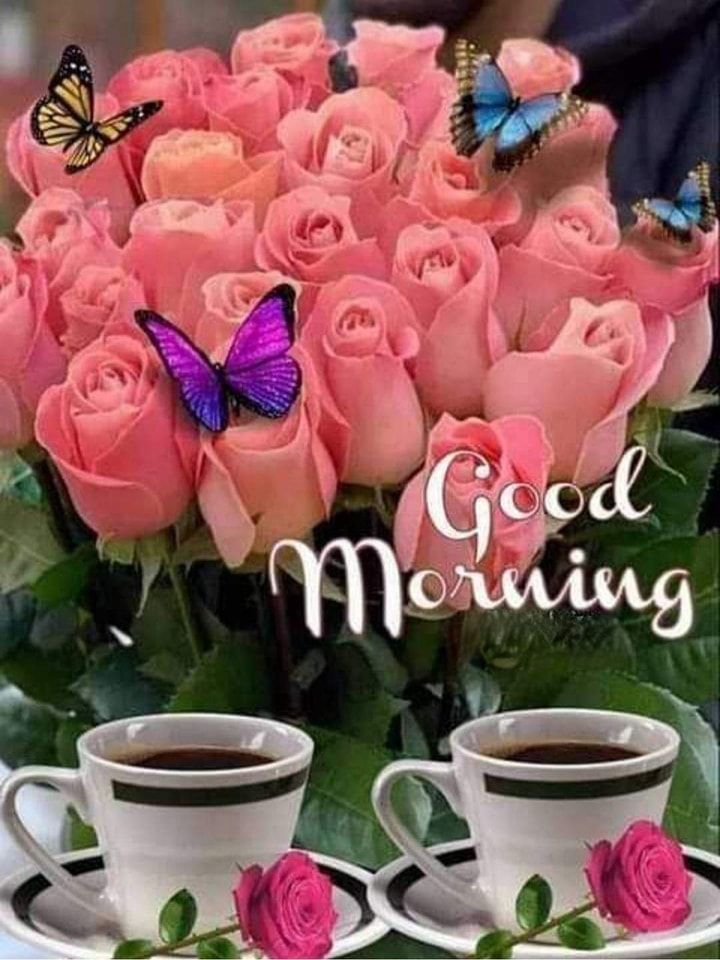 Bundle Of Pink Roses - Good Morning Greeting Pictures, Photos, and ...