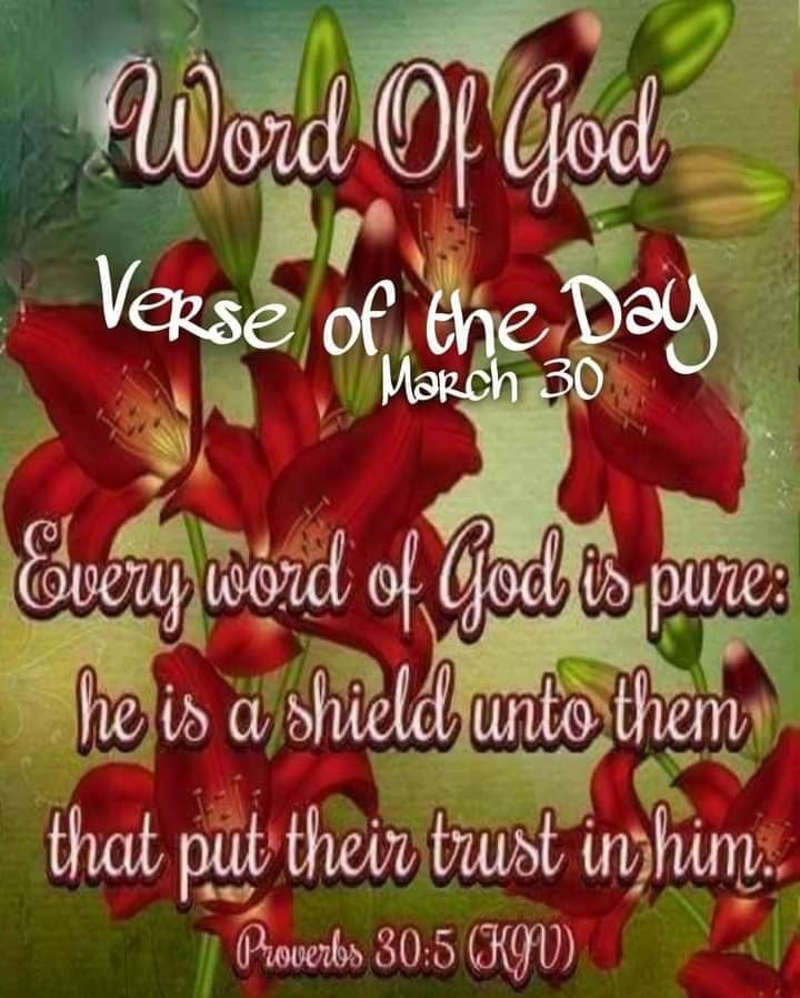 Verse Of The Day, March 30 Pictures, Photos, and Images for Facebook ...