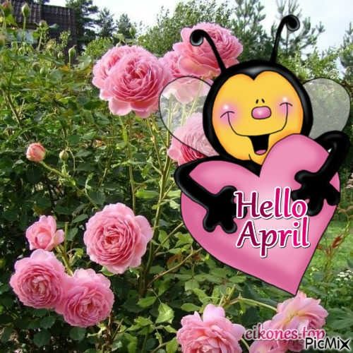 Hello April Bee And Roses Pictures, Photos, and Images for Facebook ...