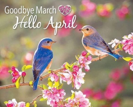 Goodbye March And Hello April. Have A Wonderful Month. God Bless ...