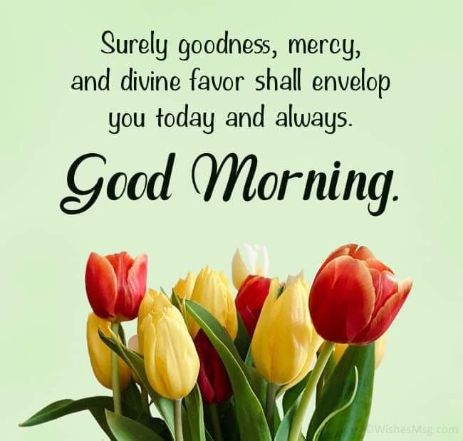Surely Goodness, Mercy, And Divine Favor Shall Envelop You Today And ...