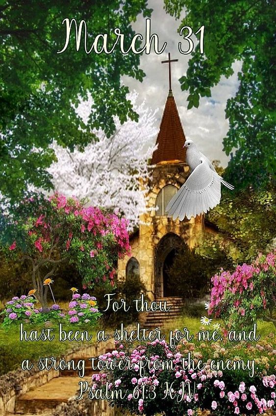 March 31 Pictures, Photos, and Images for Facebook, Tumblr, Pinterest ...