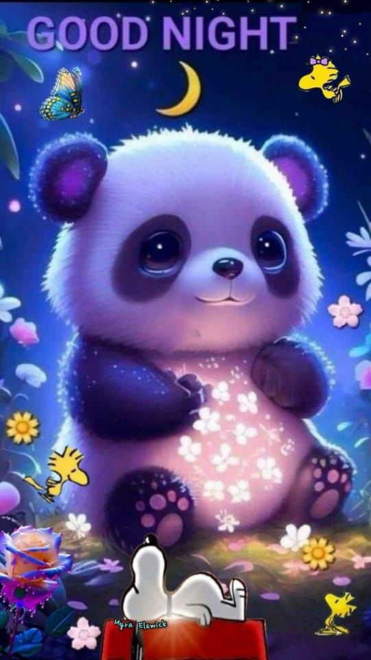 Magical Panda - Good Night Pictures, Photos, and Images for Facebook ...