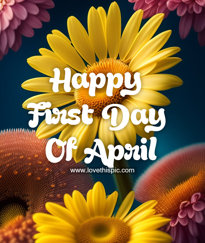 Yellow Sunflower - Happy First Day Of April Quote Pictures, Photos, and ...