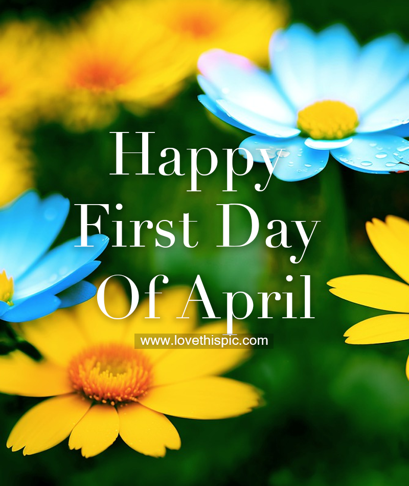Happy First Day Of April With Cute Daisies Pictures, Photos, and Images ...