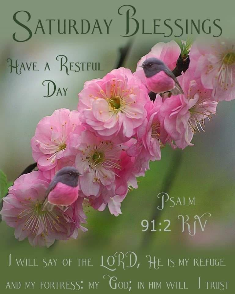 Restful Saturday Blessings Pictures, Photos, and Images for Facebook ...