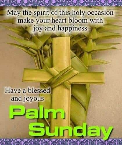 Have A Blessed And Joyous Palm Sunday Pictures, Photos, and Images for ...