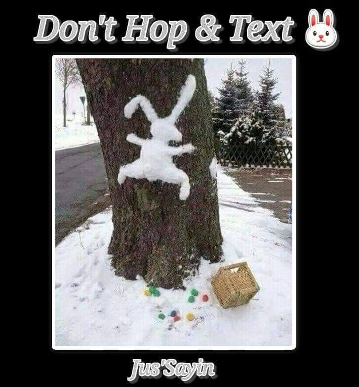 Don't Hop & Text Pictures, Photos, and Images for Facebook, Tumblr ...