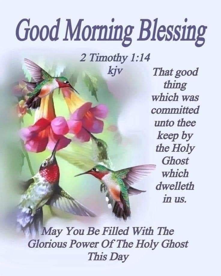 Beautiful Hummingbirds, Good Morning Blessing Pictures, Photos, and ...