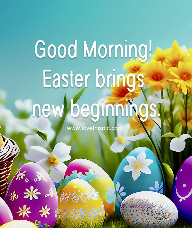 Good Morning! Easter Brings New Beginnings. Pictures, Photos, and ...