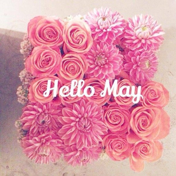 Floral Hello May Quotes Pictures, Photos, and Images for Facebook ...