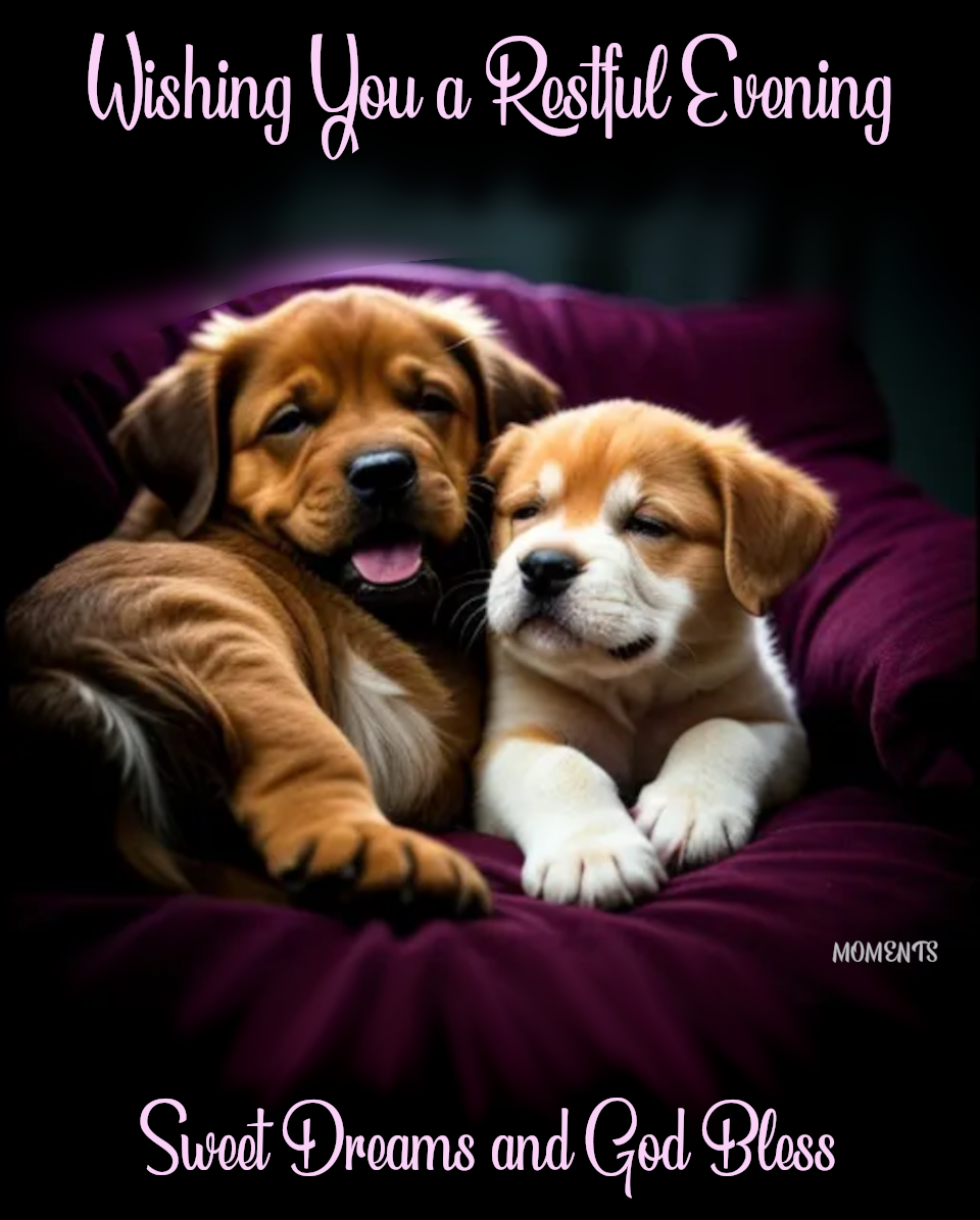 Wishing You A Restful Evening. Sweet Dreams And God Bless Pictures ...